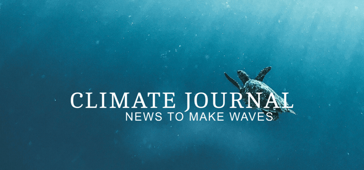 Future Feature Program