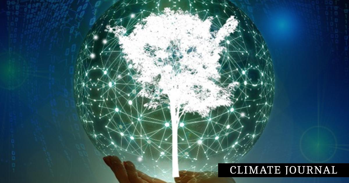 Startup fills climate data gap with AI intelligence to boost ...